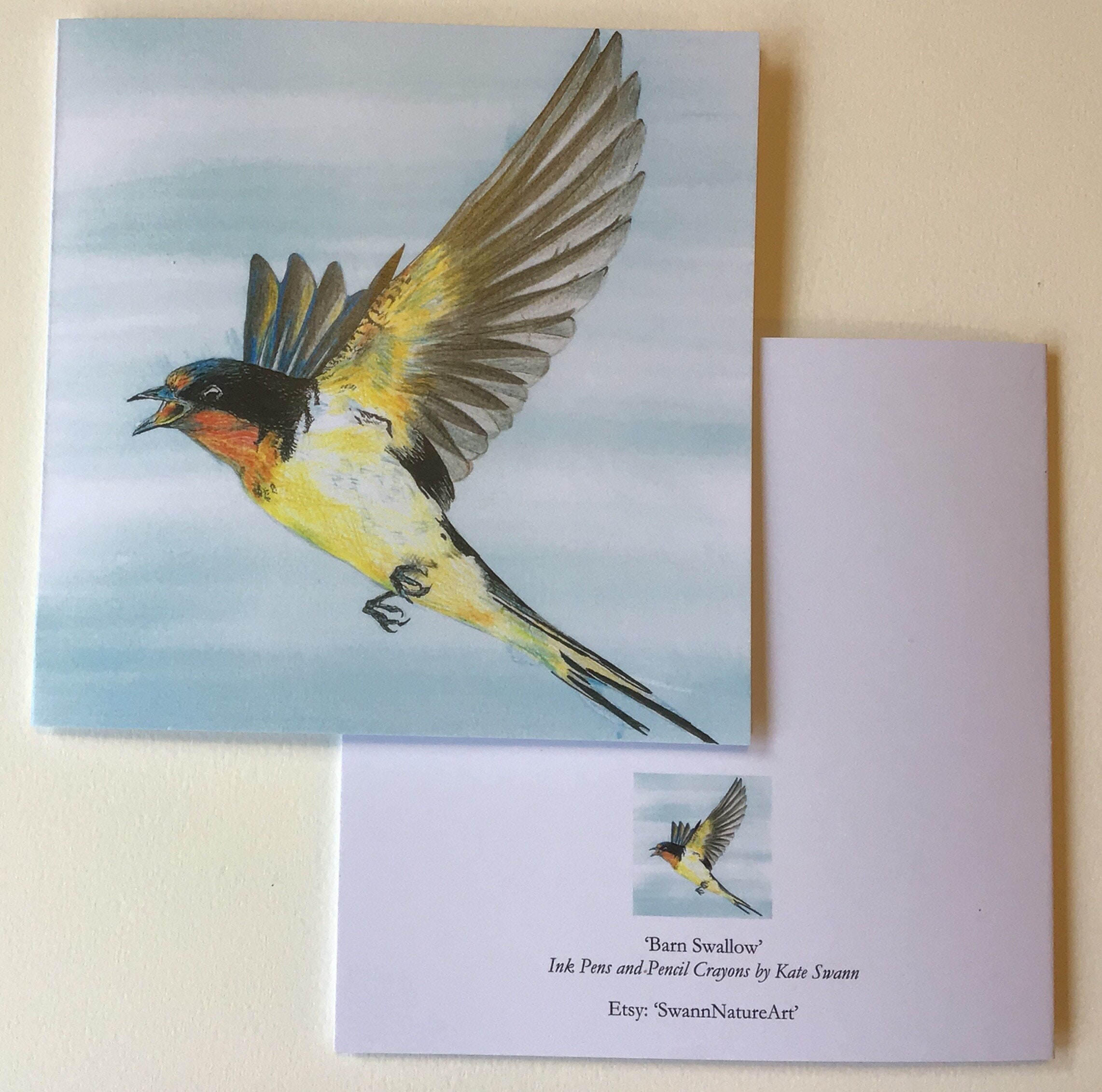 Set of 3 bird cards, Bird card bundle, Bird art card pack, Bird note ...