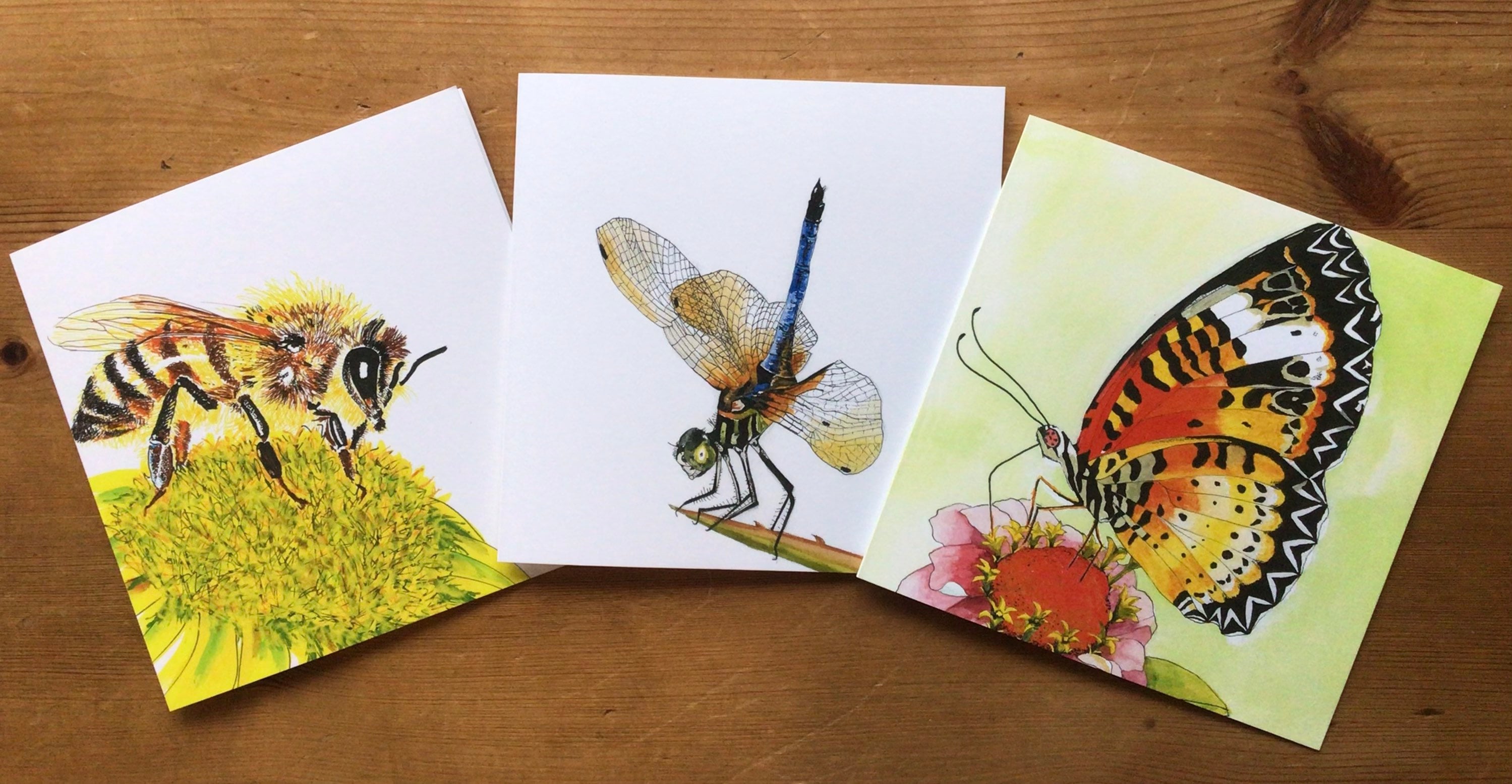 Insect art card pack, Set of 3 bug cards, Insect card bundle, Insect ...