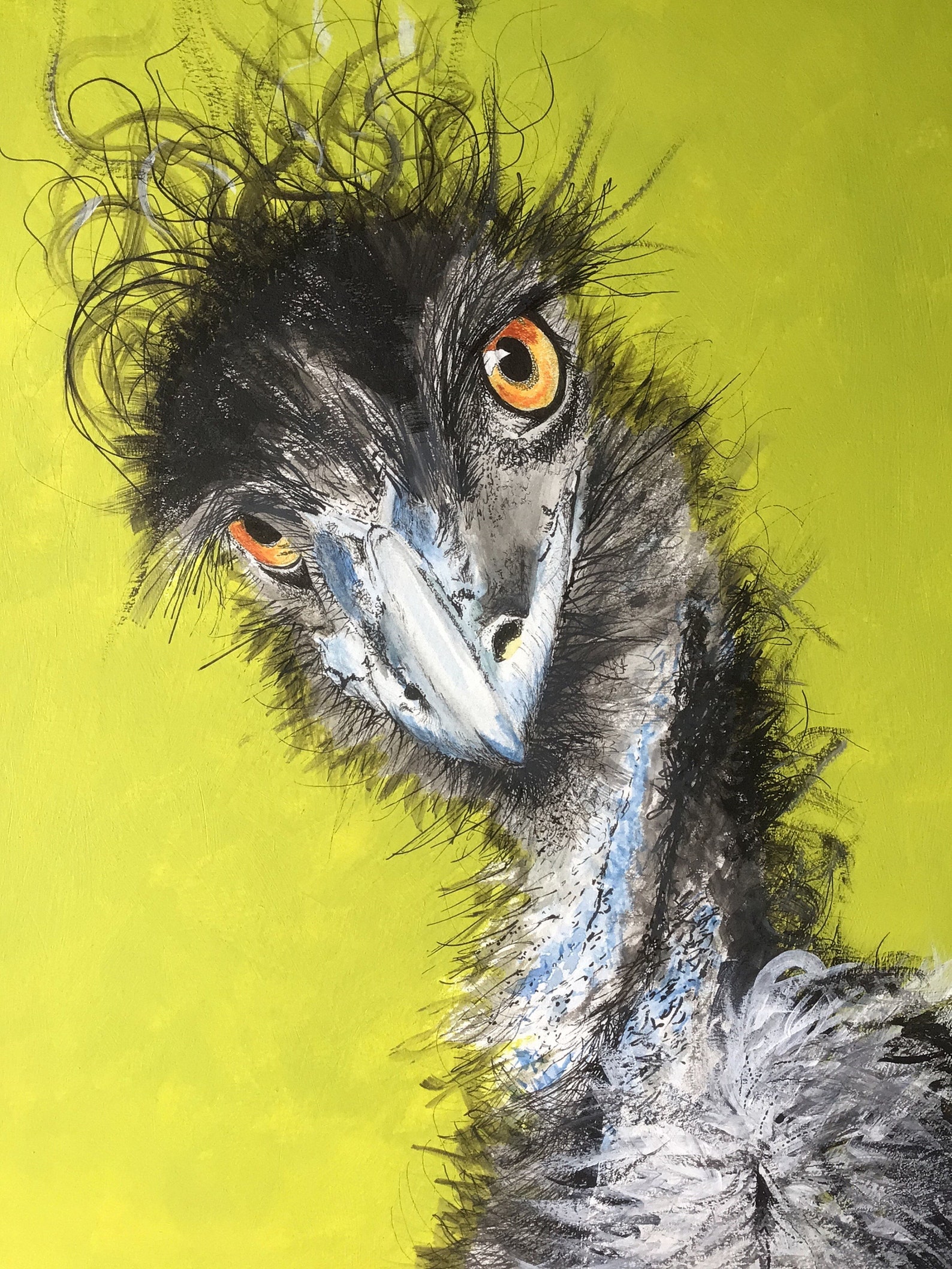 A4 Emu Art Print, Pop Art Style Print, Giclee Bird Print, Bird Wall ...