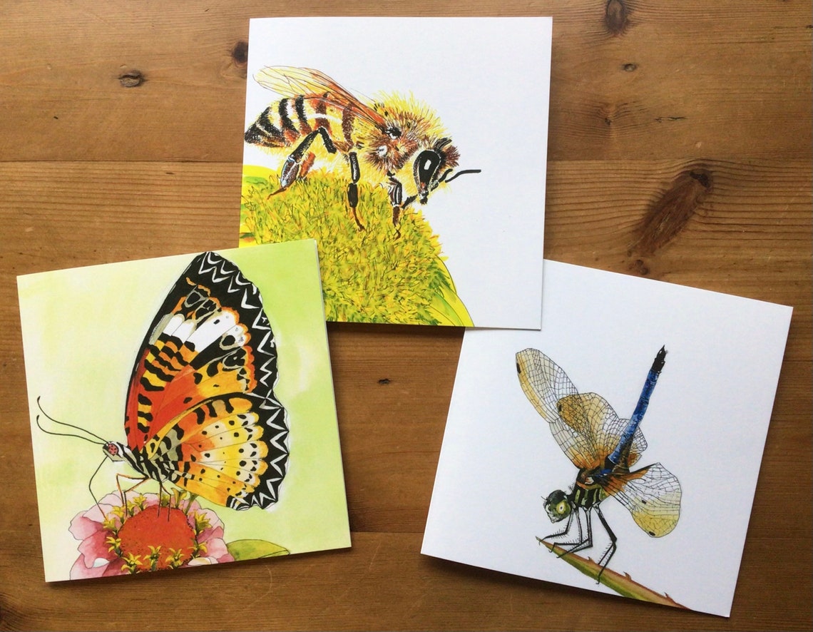 Insect art card pack, Set of 3 bug cards, Insect card bundle, Insect ...