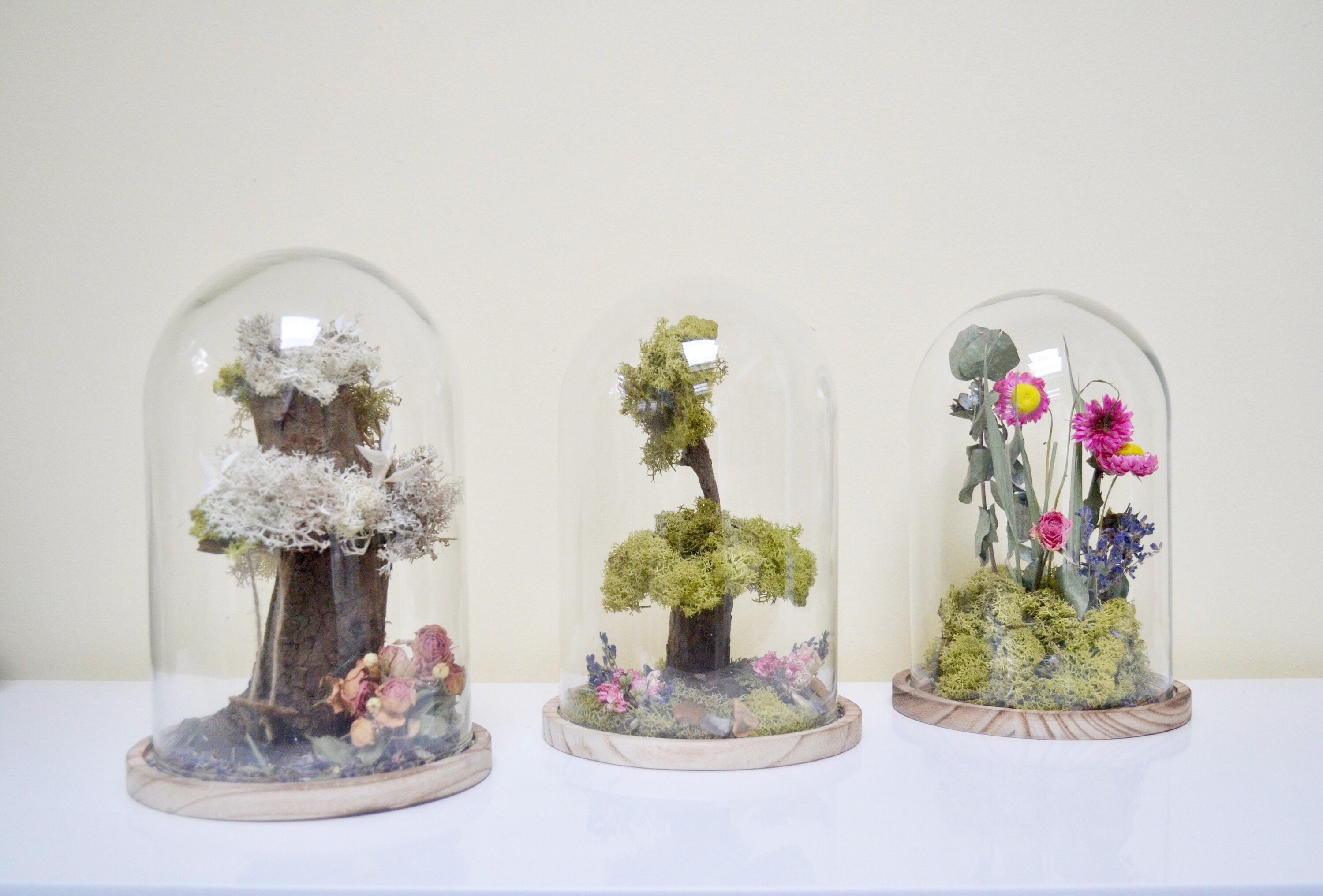 Dried Flower Arrangement in Glass Dome Home Decor - Etsy UK