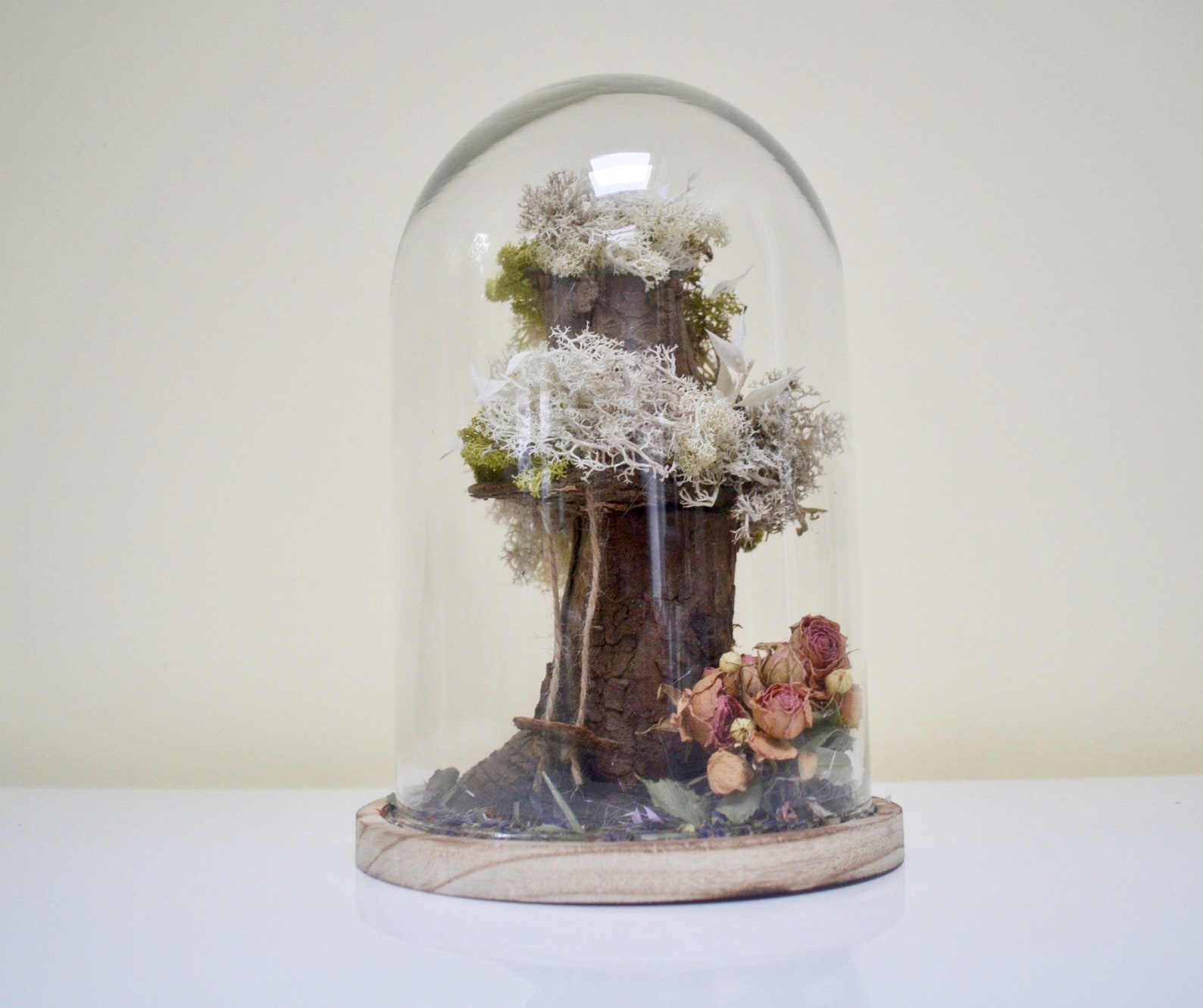 Dried Flower Arrangement in Glass Dome Home Decor - Etsy UK