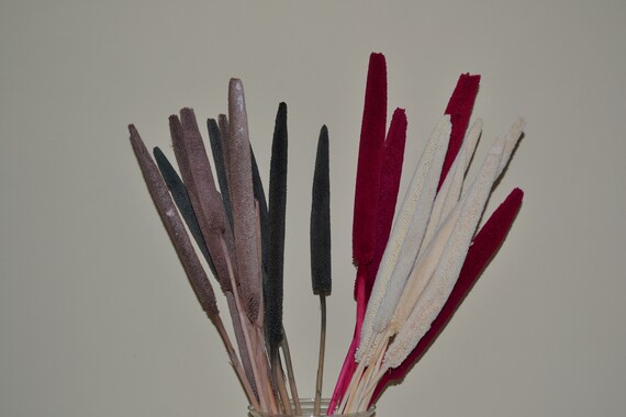 Dried Babala Stems 6 Naturally Dried White Red Light | Etsy