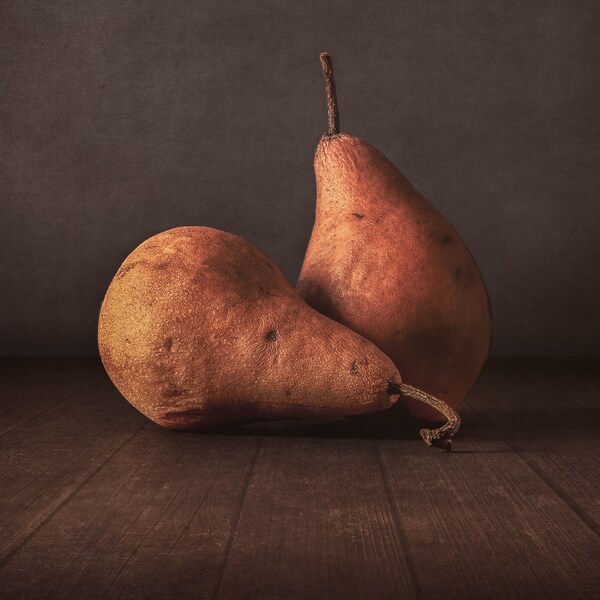 Still Life Backdrop - Etsy