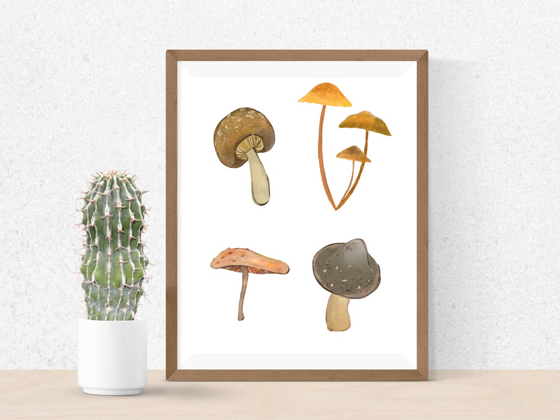 Colorful Mushroom Clipart, Fall Fungus PNG, Toadstool Illustration ...