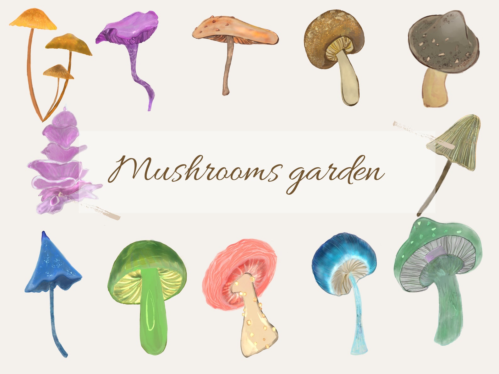 Colorful Mushroom Clipart, Fall Fungus PNG, Toadstool Illustration ...