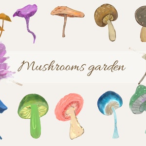 Colorful Mushroom Clipart, Fall Fungus PNG, Toadstool Illustration ...