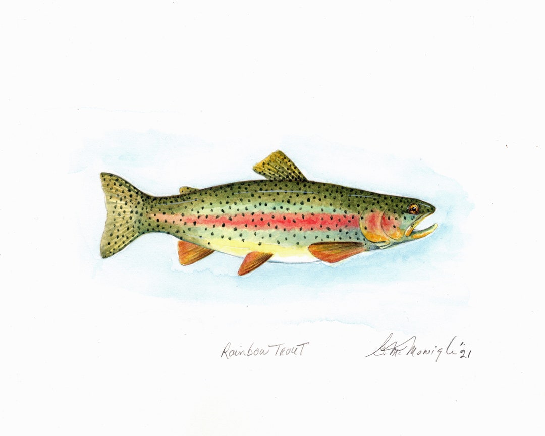 Rainbow Trout Print of Watercolor Painting - Etsy