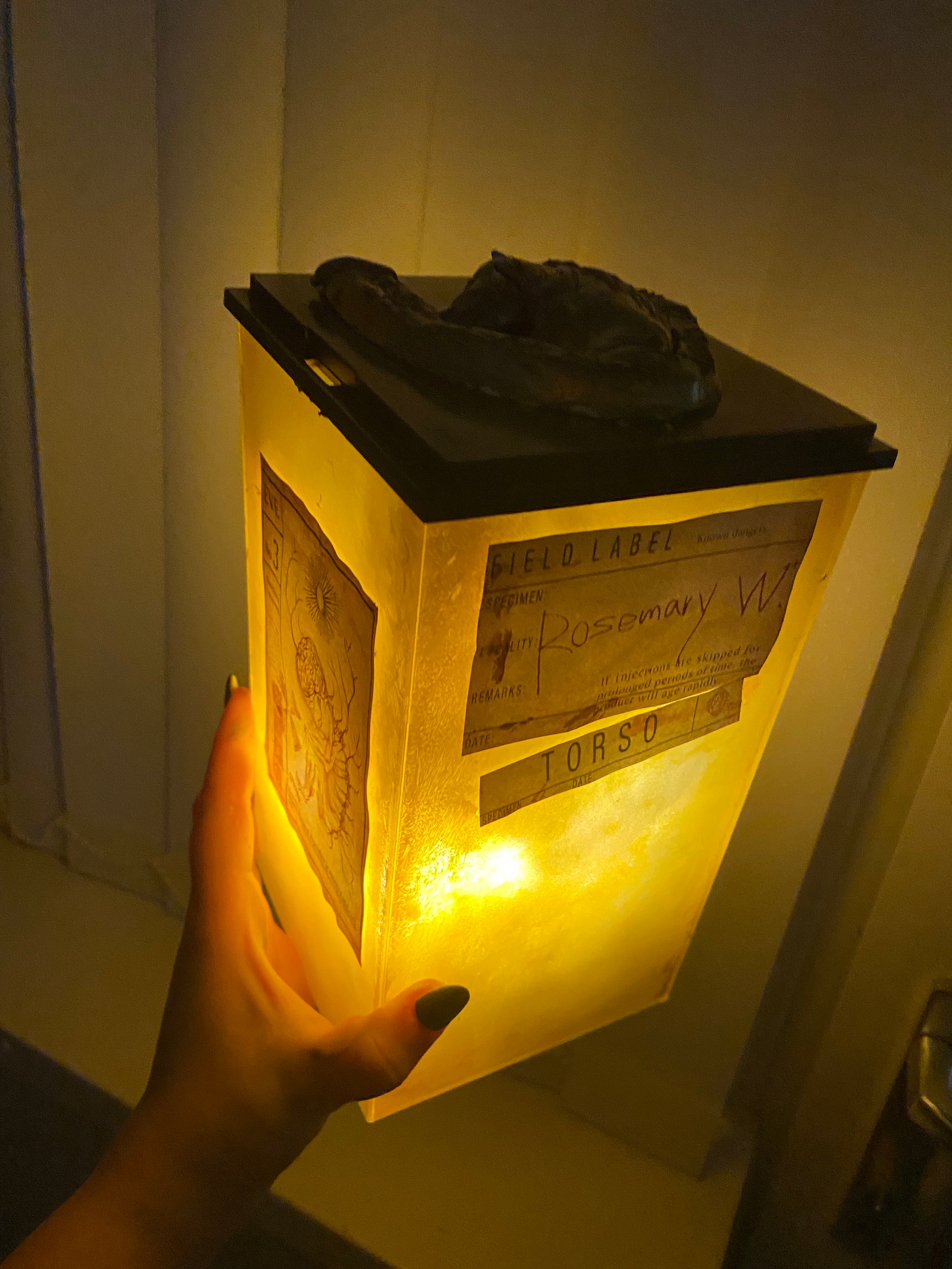 Rosemary Winters Resident Evil Village LED Flask - Etsy