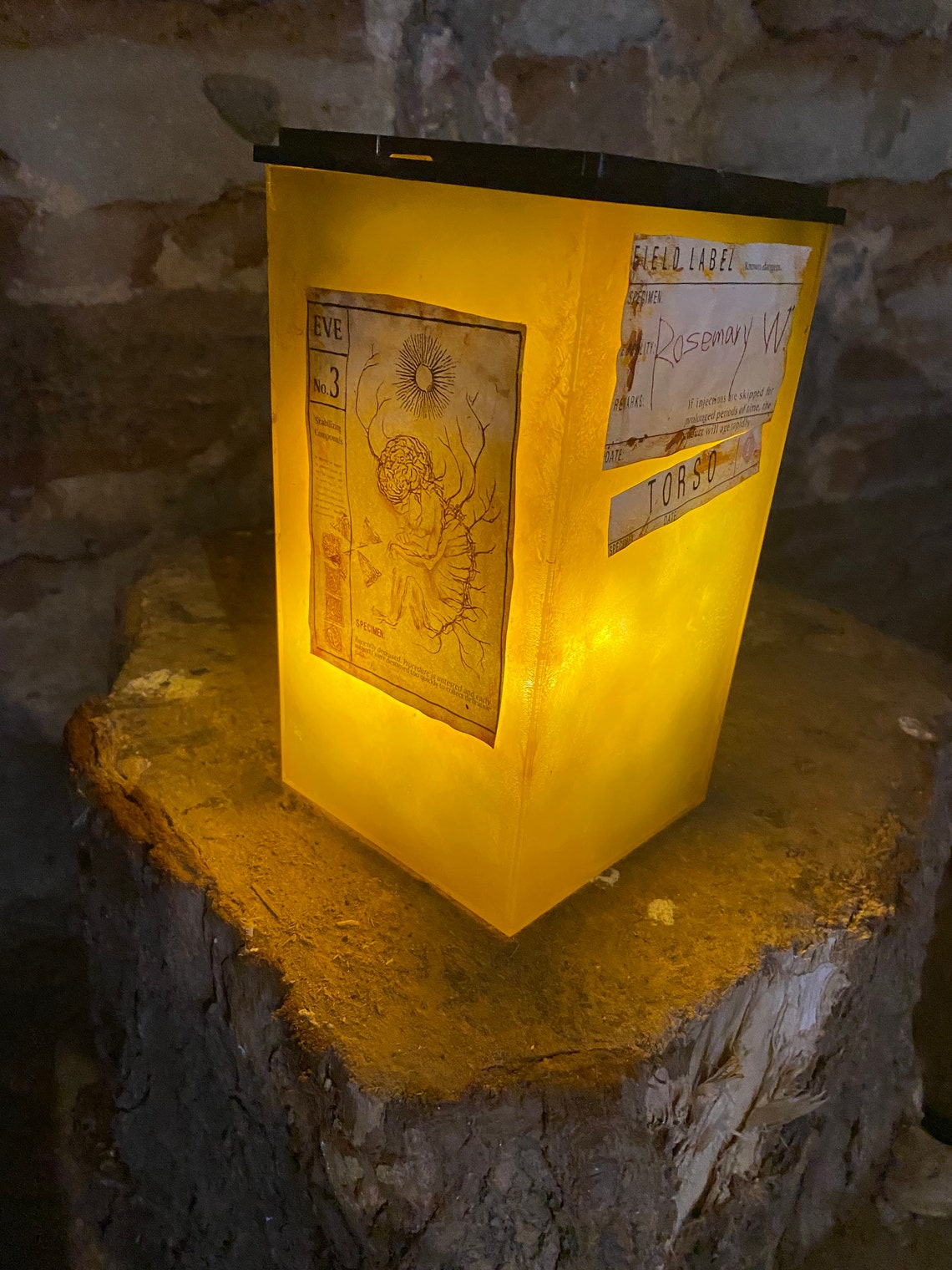 Rosemary Winters Resident Evil Village LED Flask - Etsy