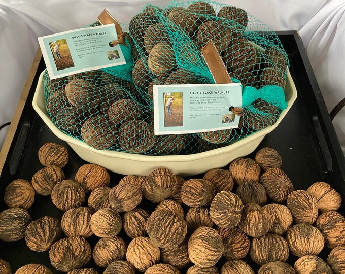 30 Black Walnut Slices 1/4 Thick Exclusive for Basket Weaving. - Etsy