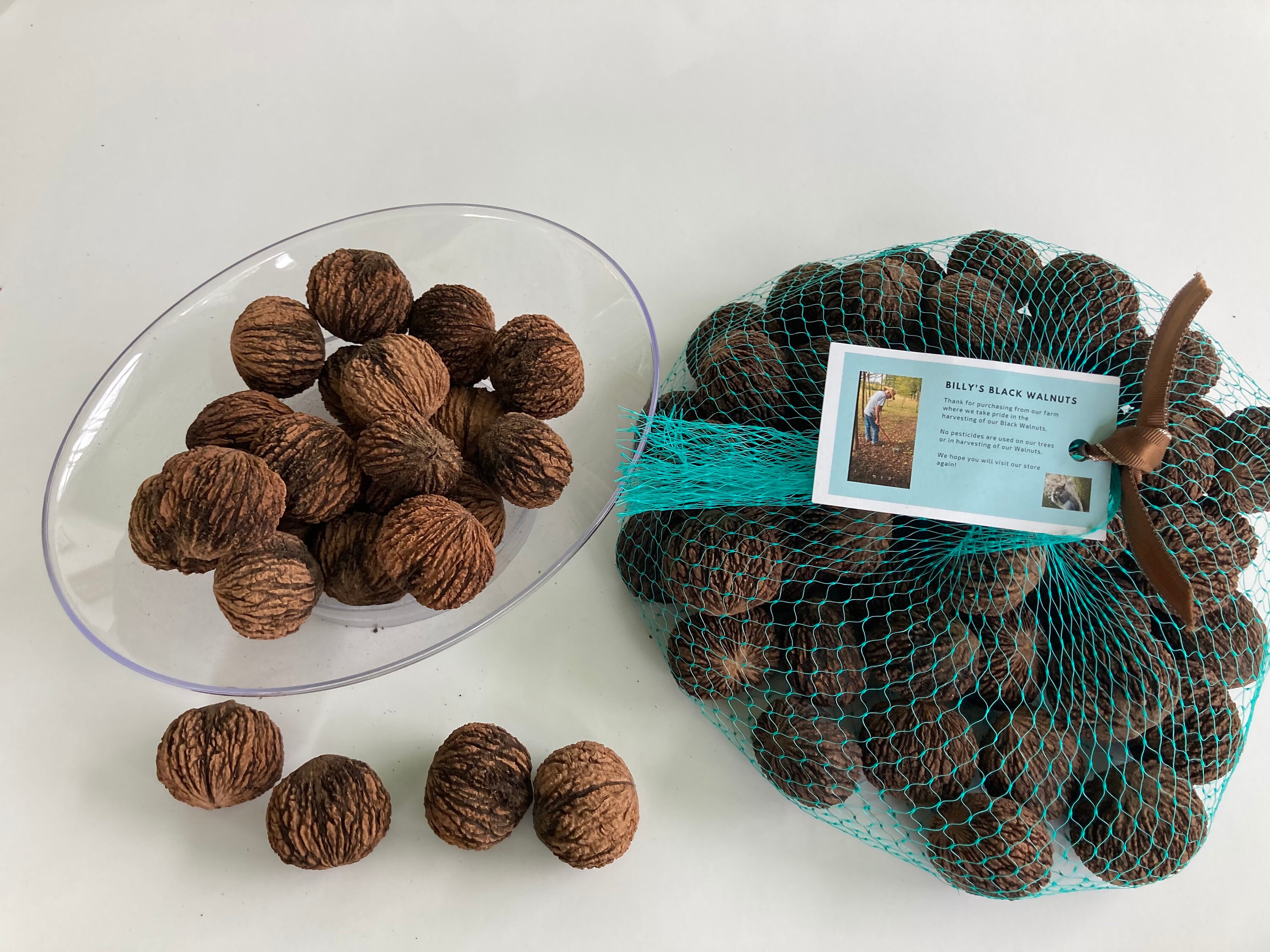 ORGANIC BLACK WALNUTS - No Pesticides Used on Trees, or When Harvested ...