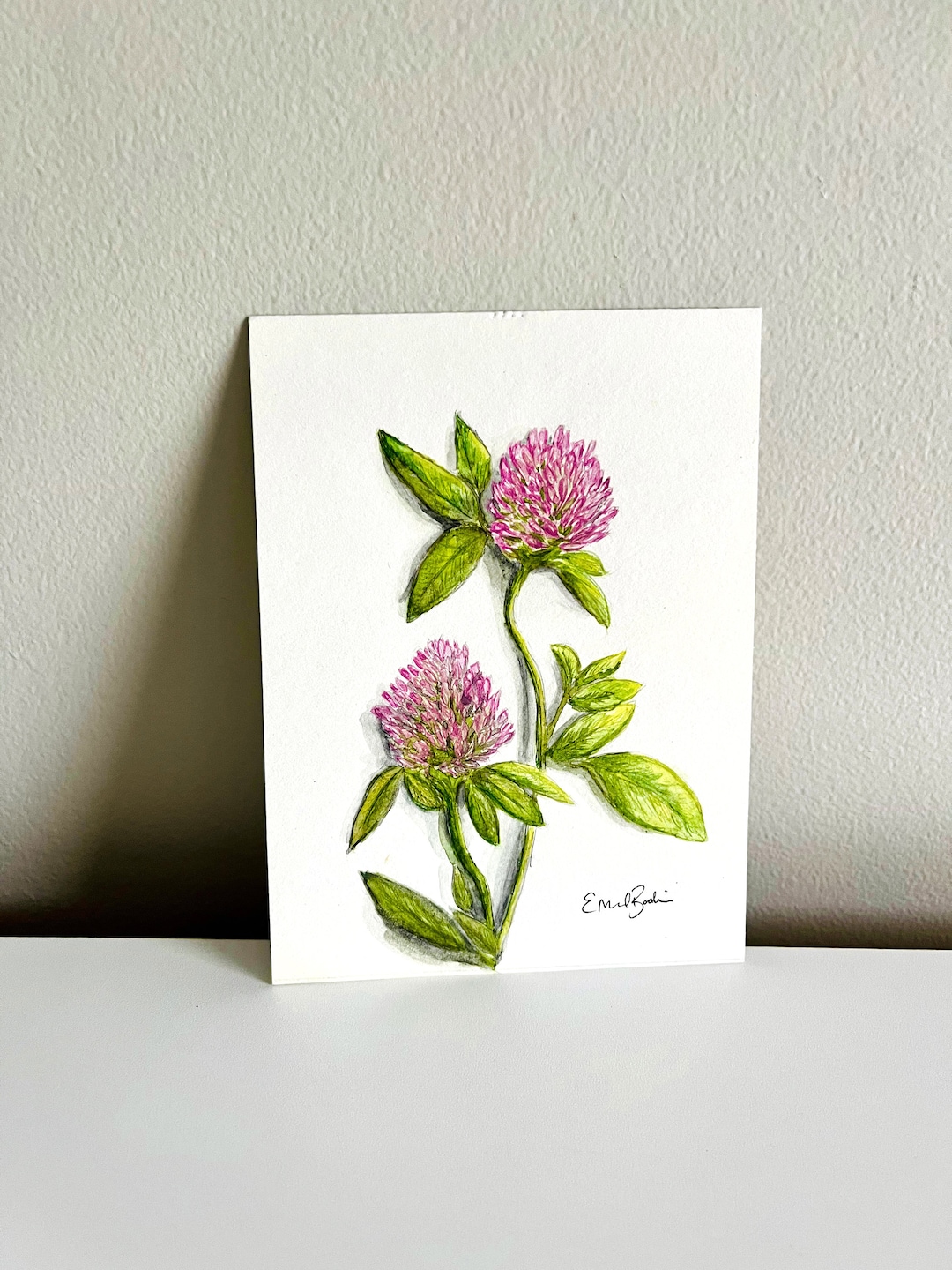 Red Clover Flowers Botanical Art - Watercolor Painting Original- This ...