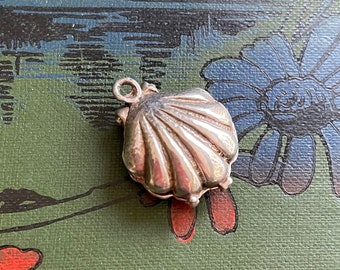 Clamshell With Pearl - Etsy