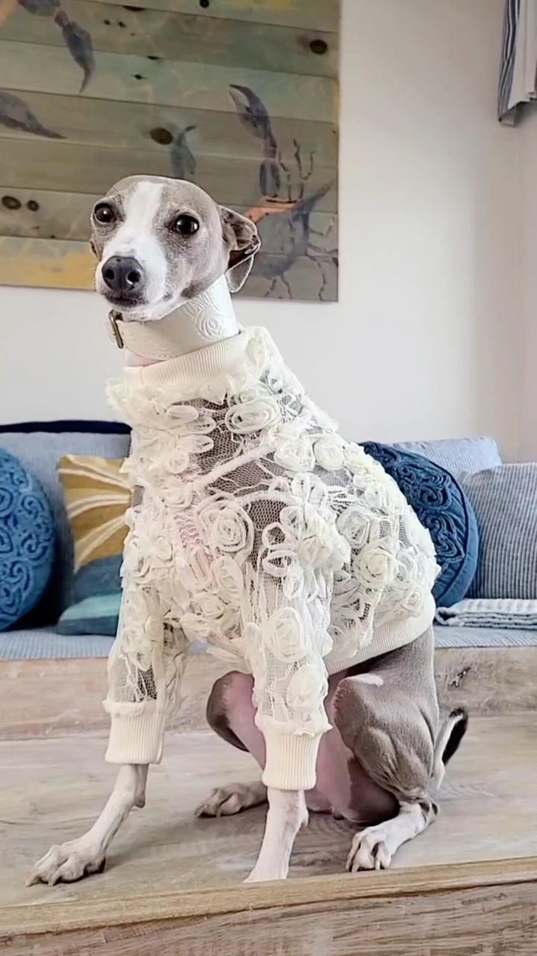 Custom Handmade Outfit by Me. 3d Ivory Lace .available as a Sleeved or ...