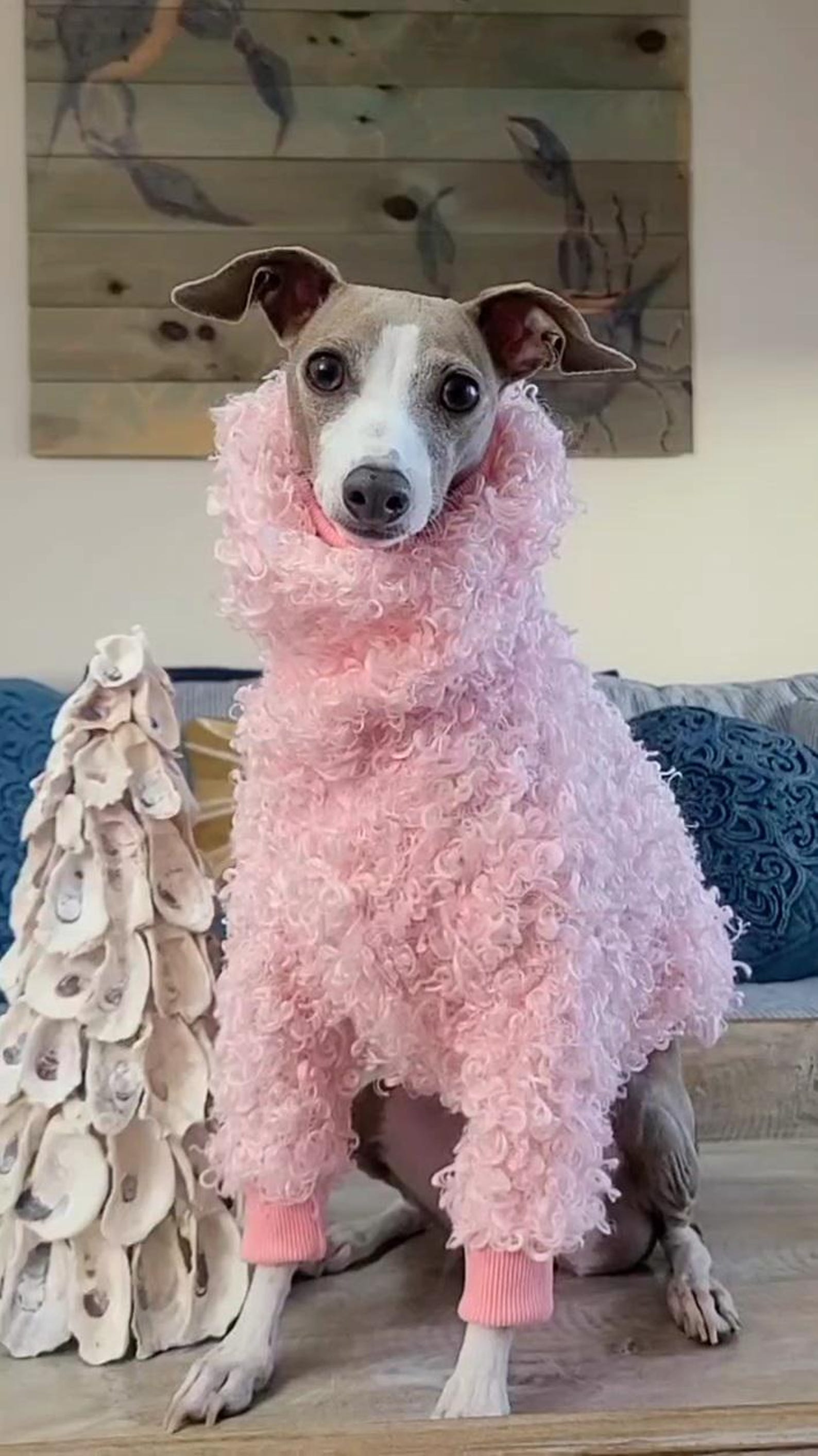 Custom Handmade Outfit by Me. Curly Faux Lambs Wool. Available in Two ...