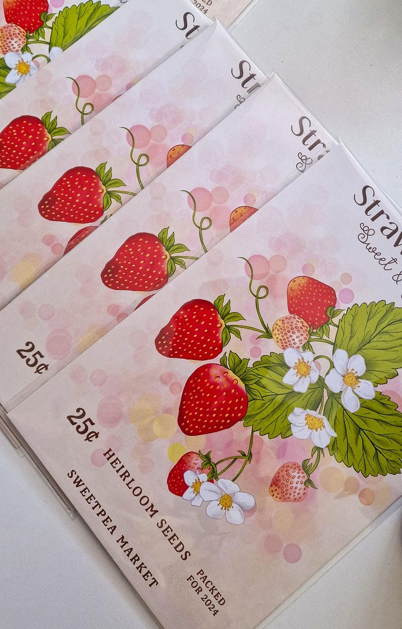 Strawberry Seed Packet Art Print – A5 | Hand Illustrated Nature ...