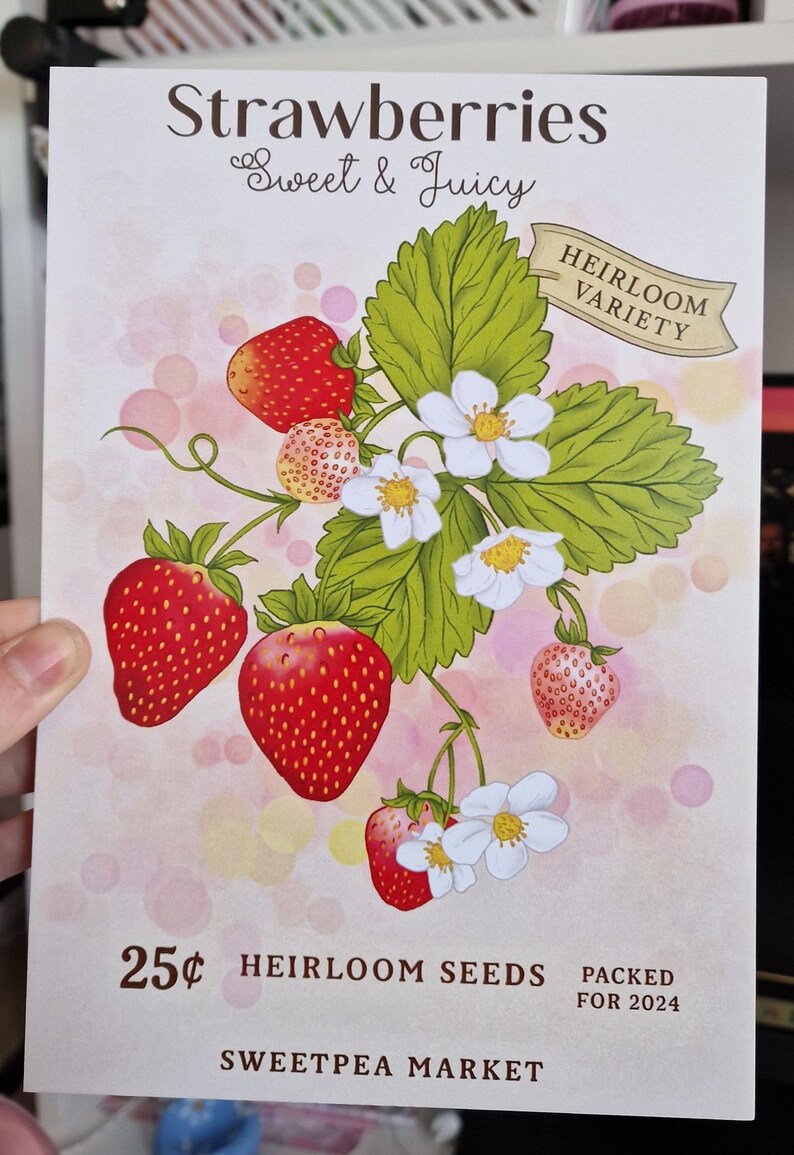 Strawberry Seed Packet Art Print – A5 | Hand Illustrated Nature ...