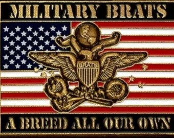 Veteran Marine Flag Pin Bar - Etsy