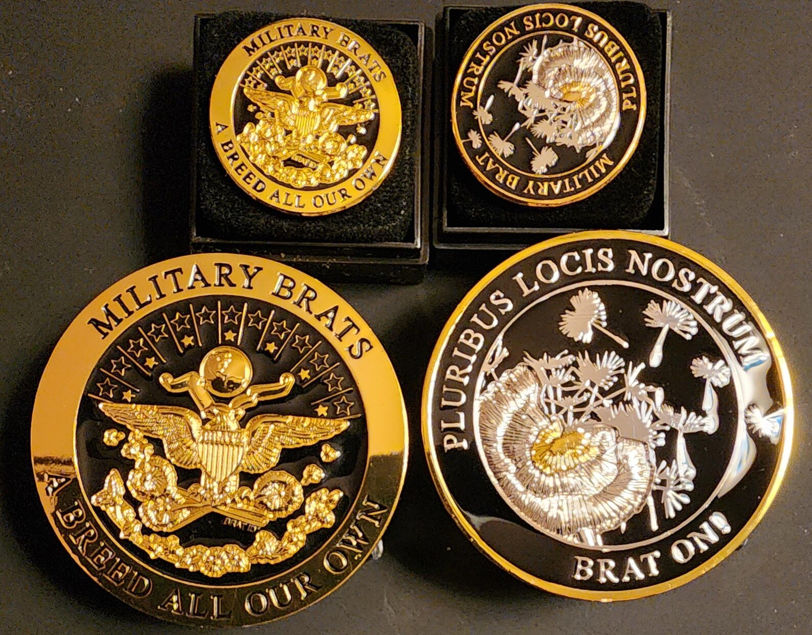 Military Brat Seal Black Vintage Bronze Challenge Coin & Pins ...