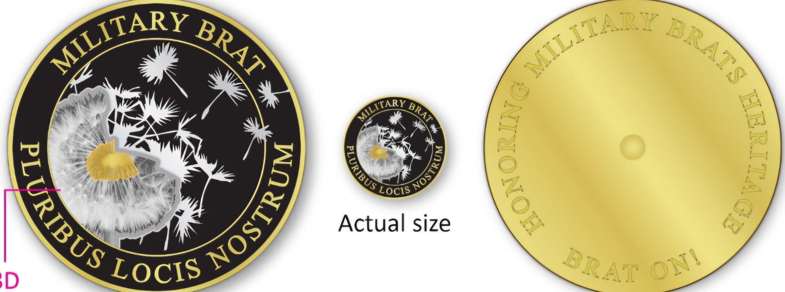 Military Brat Seal Black Vintage Bronze Challenge Coin & Pins/save for ...