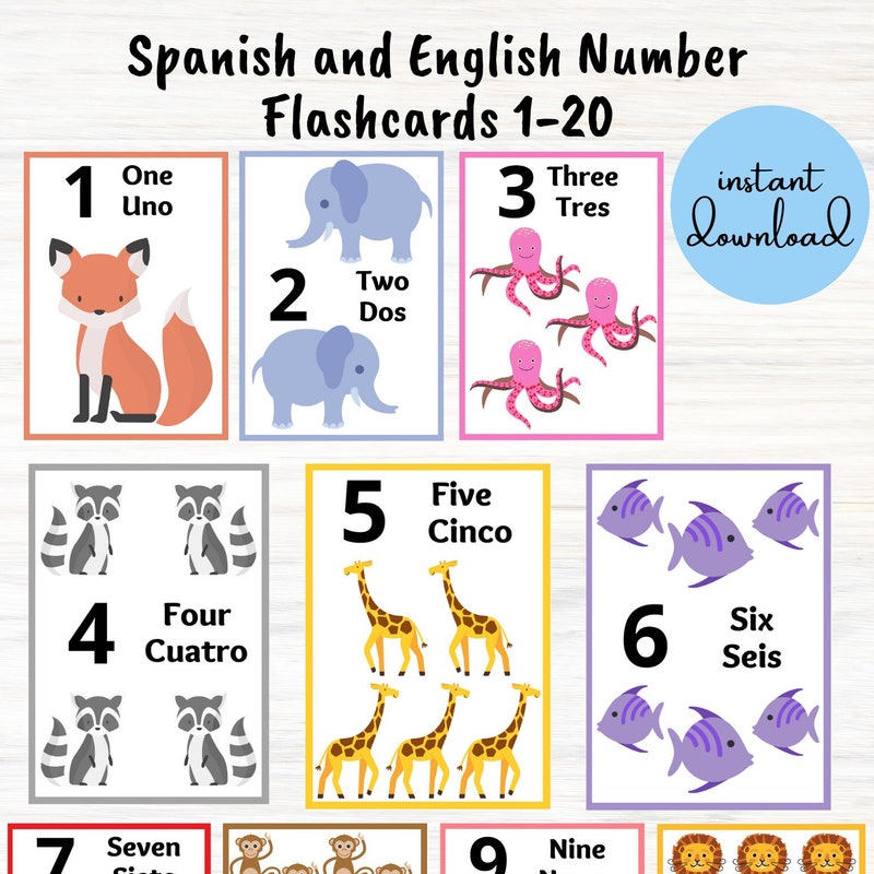 Number Flash Cards - Etsy