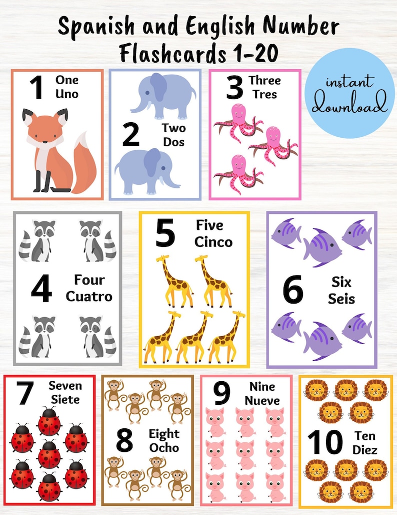 Number Cards 1-20 Animal Number Flashcards Spanish Number Cards ...