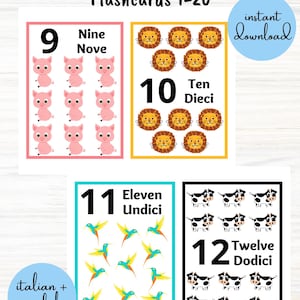 Number Cards 1-20 Animal Number Flashcards Italian Number Cards ...