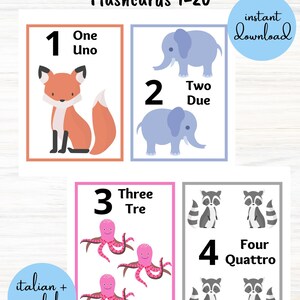 Number Cards 1-20 Animal Number Flashcards Italian Number Cards ...