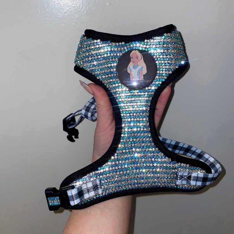 Bling Dog Collar - Etsy