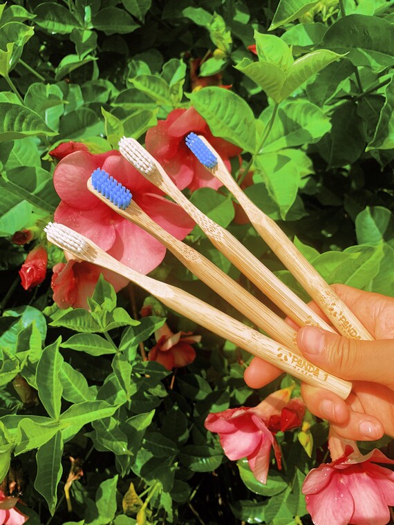 Premium Bamboo Toothbrush 4 Pack BONUS 2 FREE TOOTHBRUSHES - Etsy