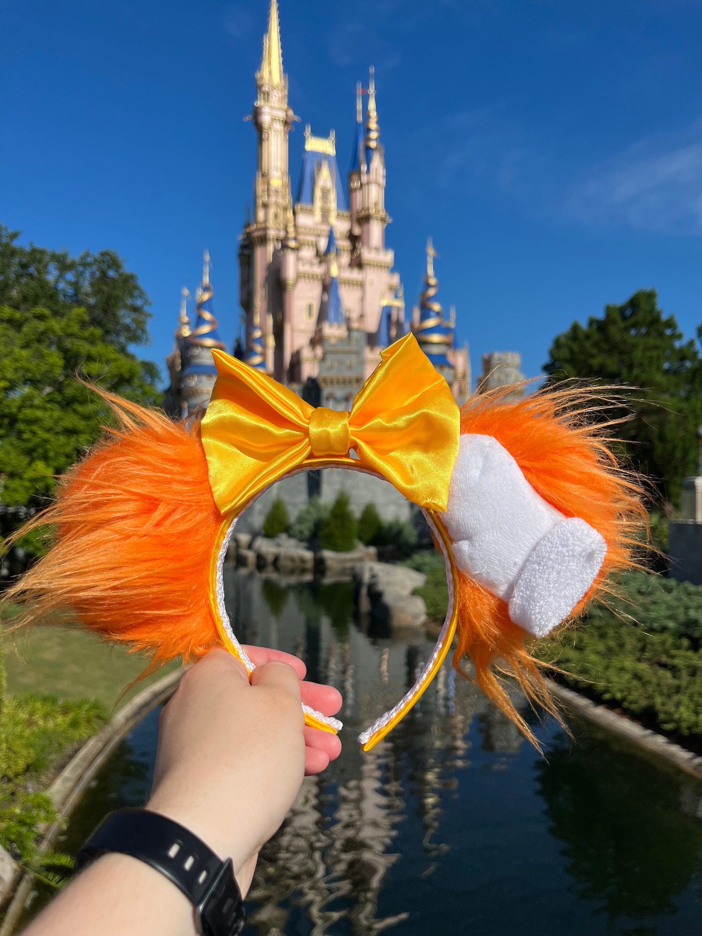 Code 23-19 Mouse Ears - Etsy