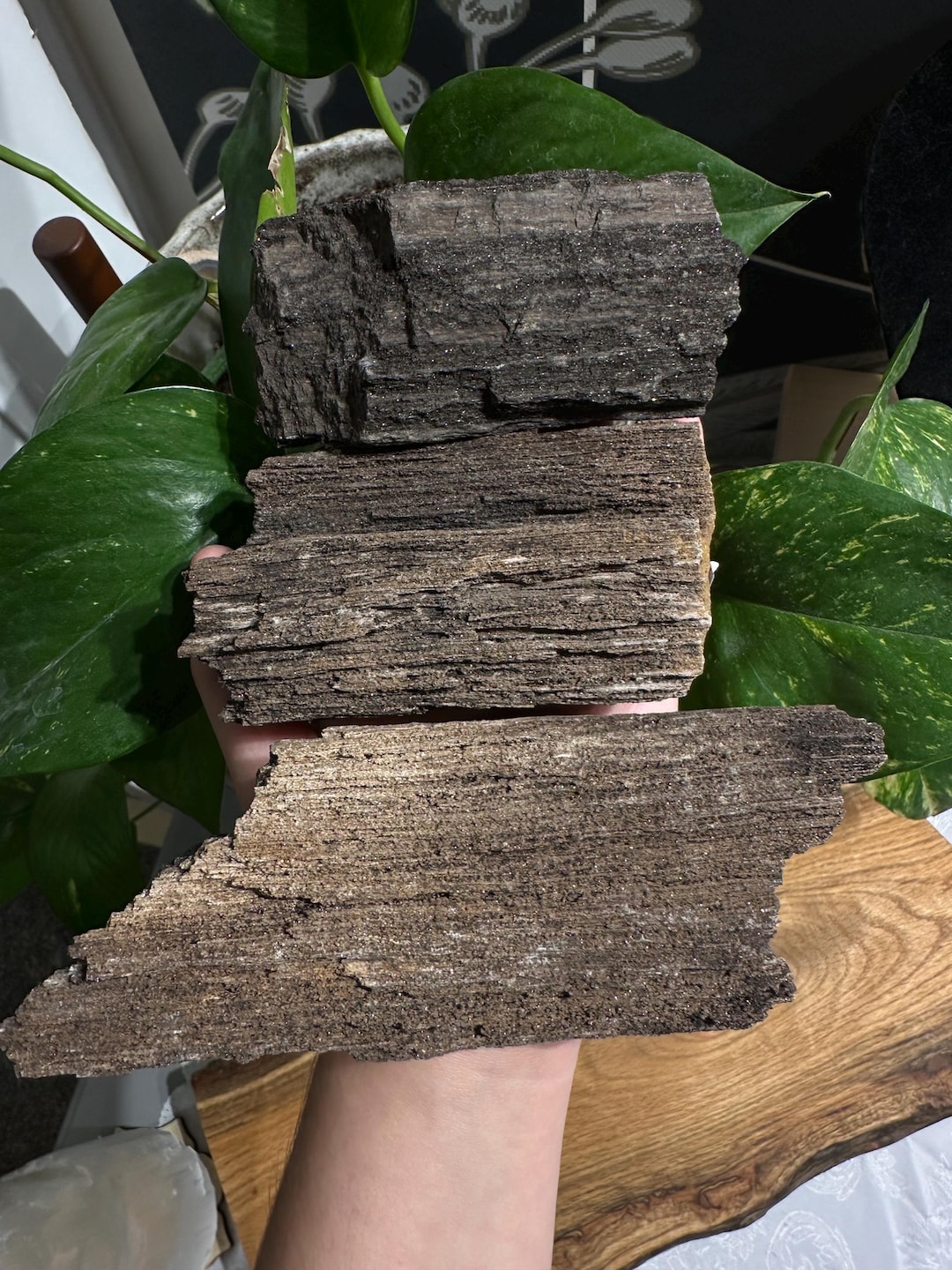 SUPER Sparkly, Permineralized Wood/ Galaxy Wood Grounding ...