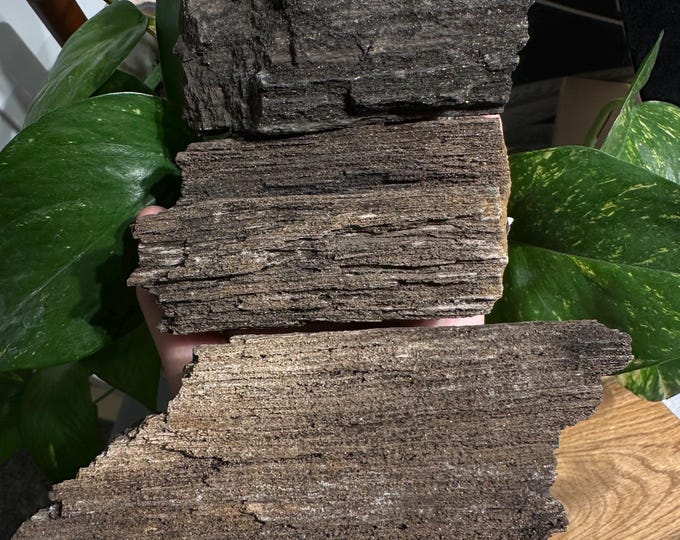 SUPER Sparkly, Permineralized Wood/ Galaxy Wood - Grounding ...