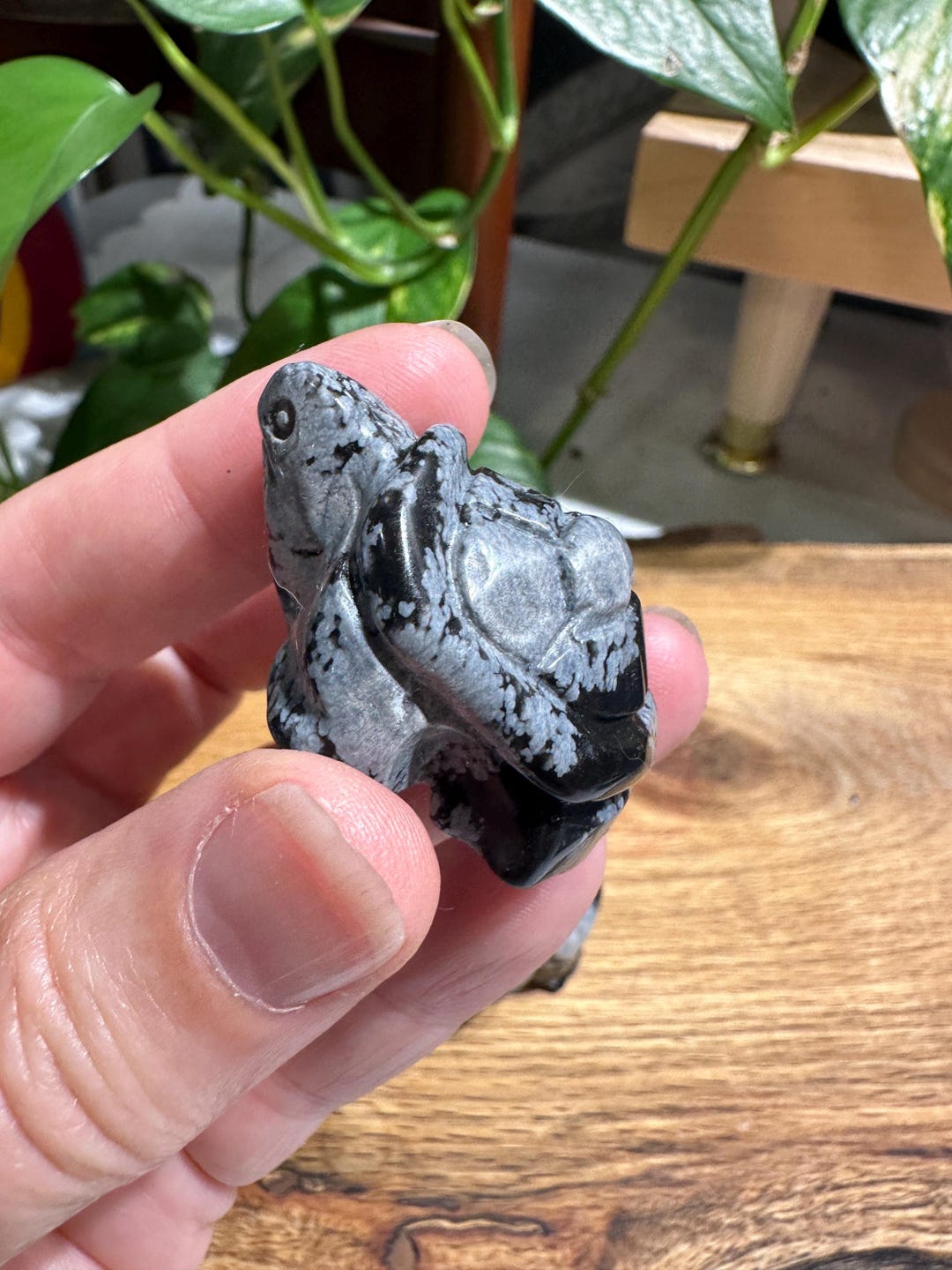 Adorable Snowflake Obsidian Turtle Carvings - Balance - Purity - Inner ...