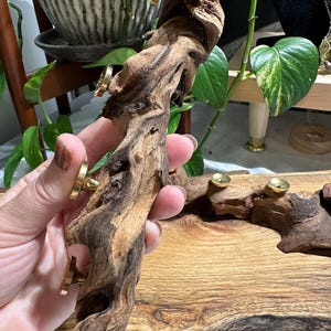 Beautiful Wood Multiple Sphere Stands Great Way to Display Your Medium ...