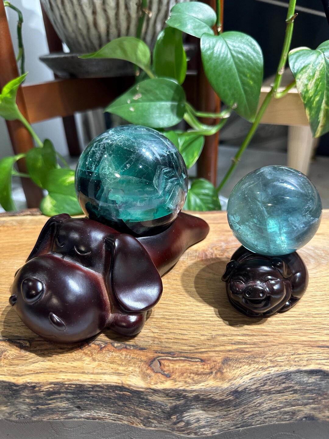 Adorable Wood Animal Sphere Stands - Great Way to Display Your Large ...