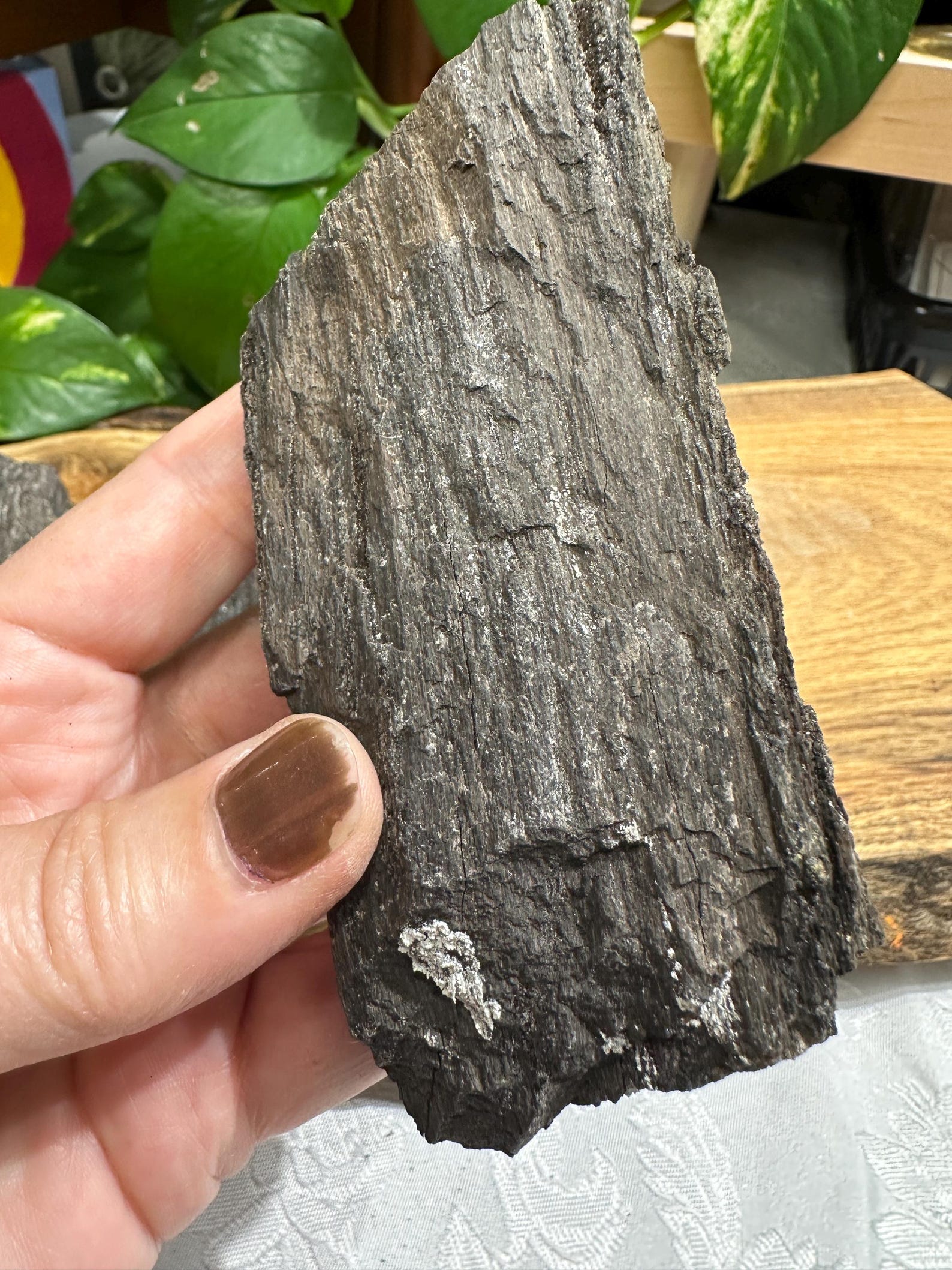 SUPER Sparkly, Permineralized Wood/galaxy Wood - Grounding ...