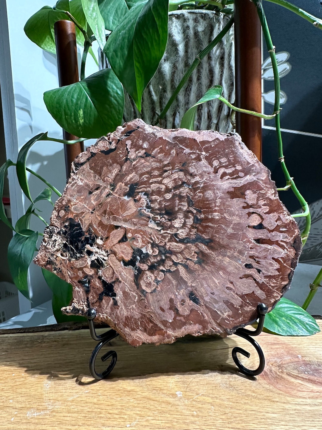 Beautiful Red Petrified Wood Slab Grounding Transformation Strength ...
