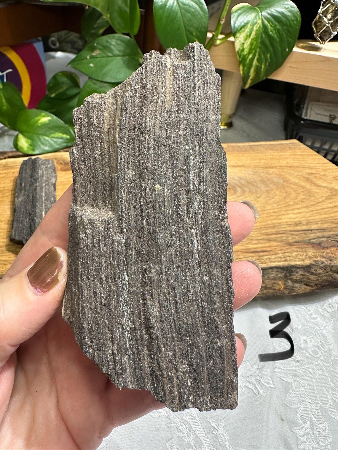 SUPER Sparkly, Permineralized Wood/galaxy Wood - Grounding ...