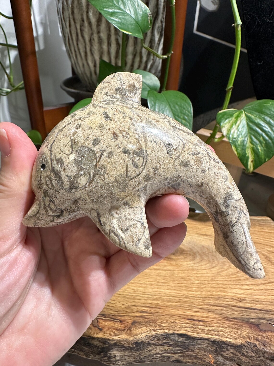 Adorable Fossil Frog and Dolphin Carvings - Grounding - Wisdom ...