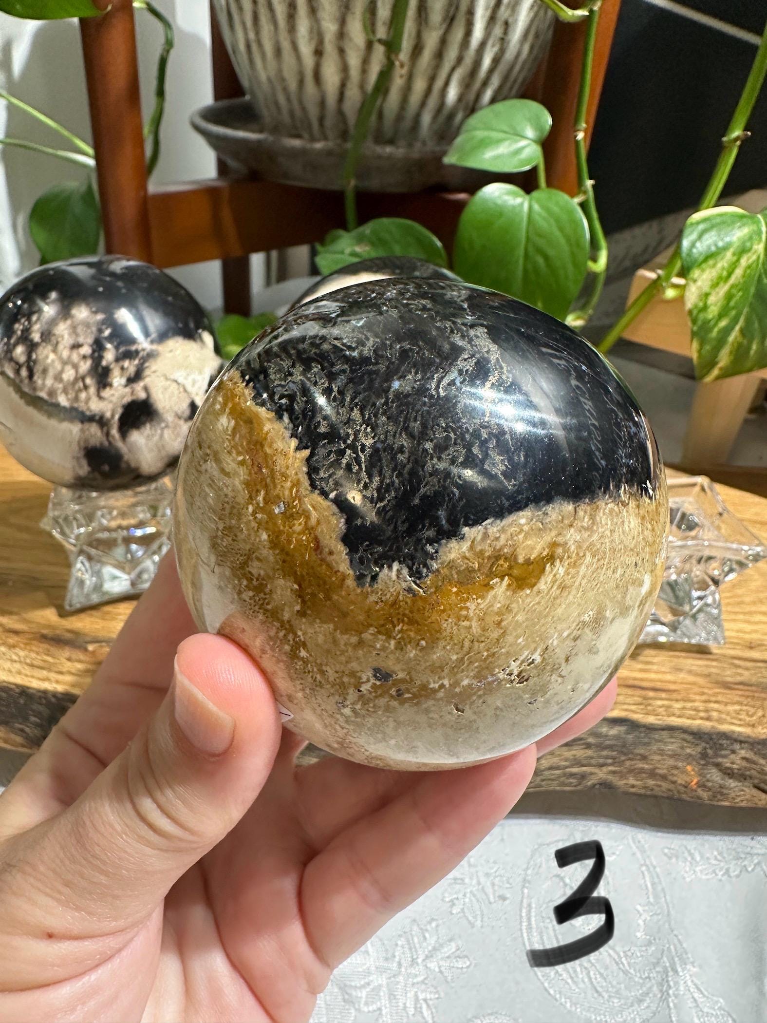 Large Beautiful Palm Root Spheres - Transformation and Growth ...