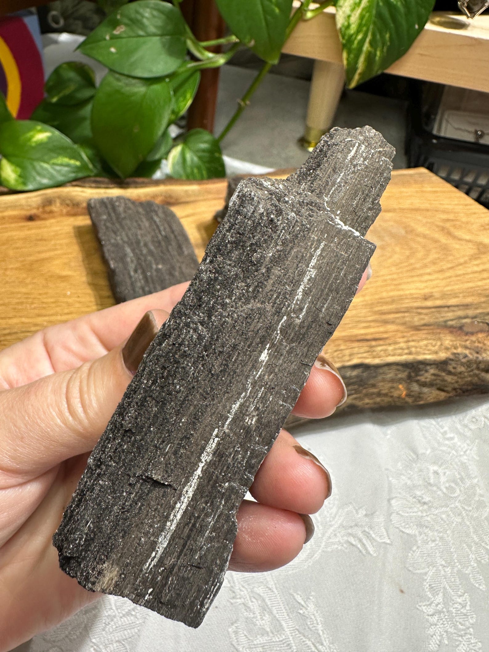 SUPER Sparkly, Permineralized Wood/galaxy Wood - Grounding ...