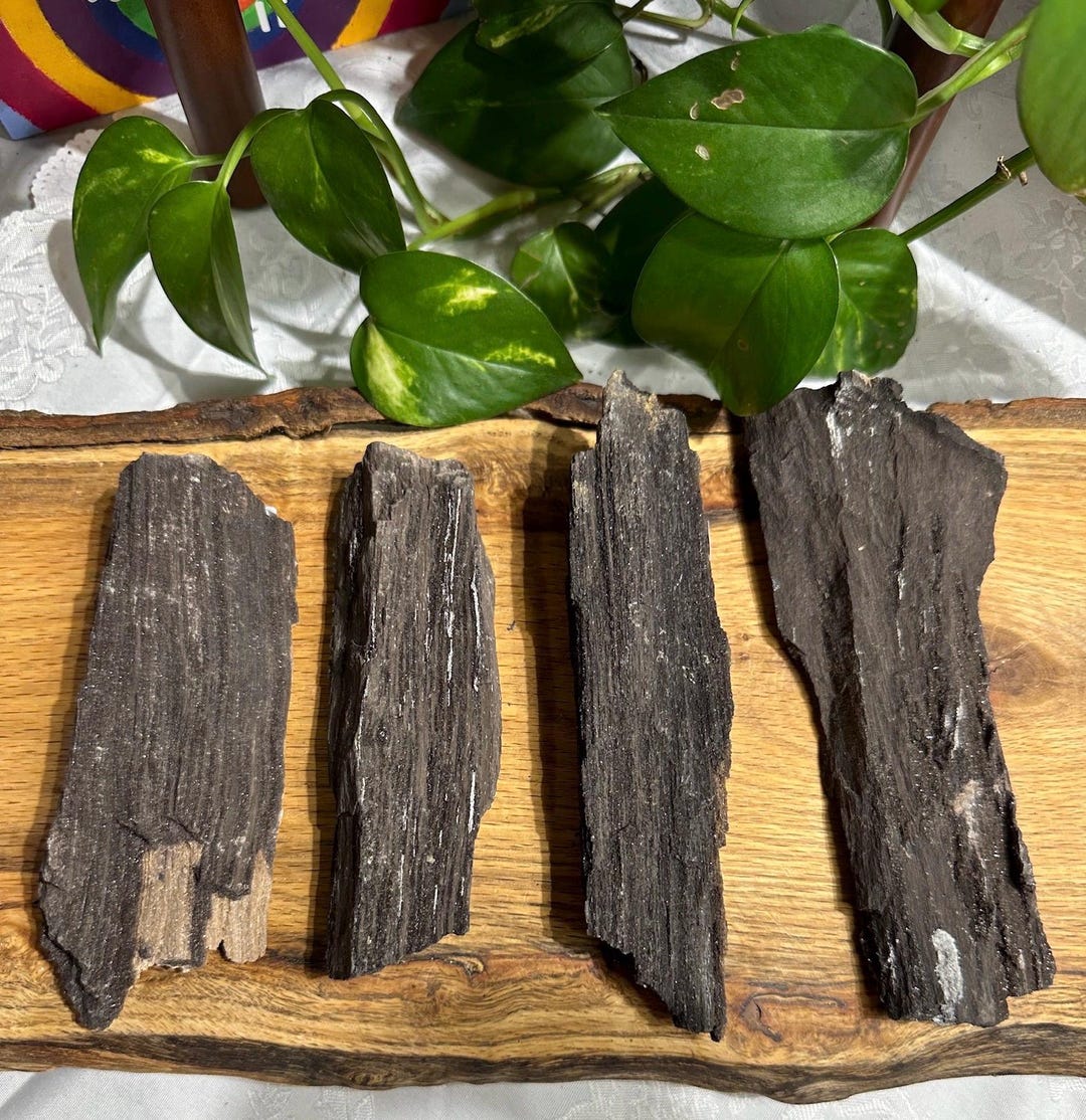 SUPER Sparkly, Permineralized Wood/galaxy Wood - Grounding ...