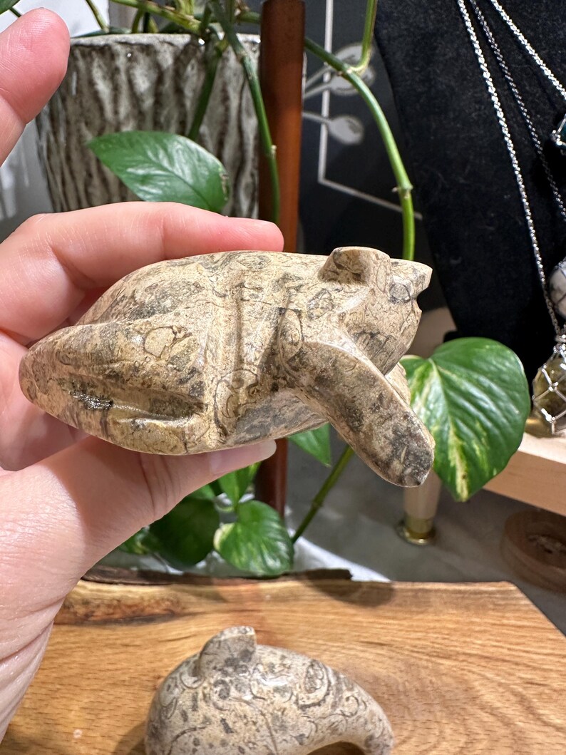 Adorable Fossil Frog and Dolphin Carvings - Grounding - Wisdom ...