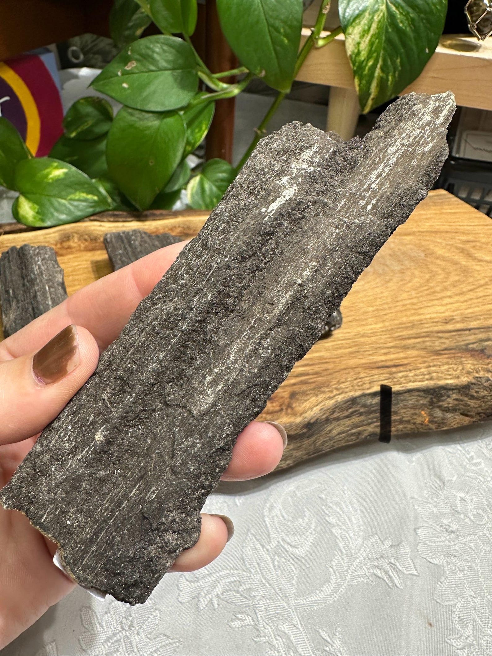 SUPER Sparkly, Permineralized Wood/galaxy Wood - Grounding ...