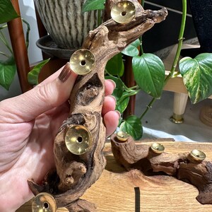 Beautiful Wood Multiple Sphere Stands Great Way to Display Your Medium ...