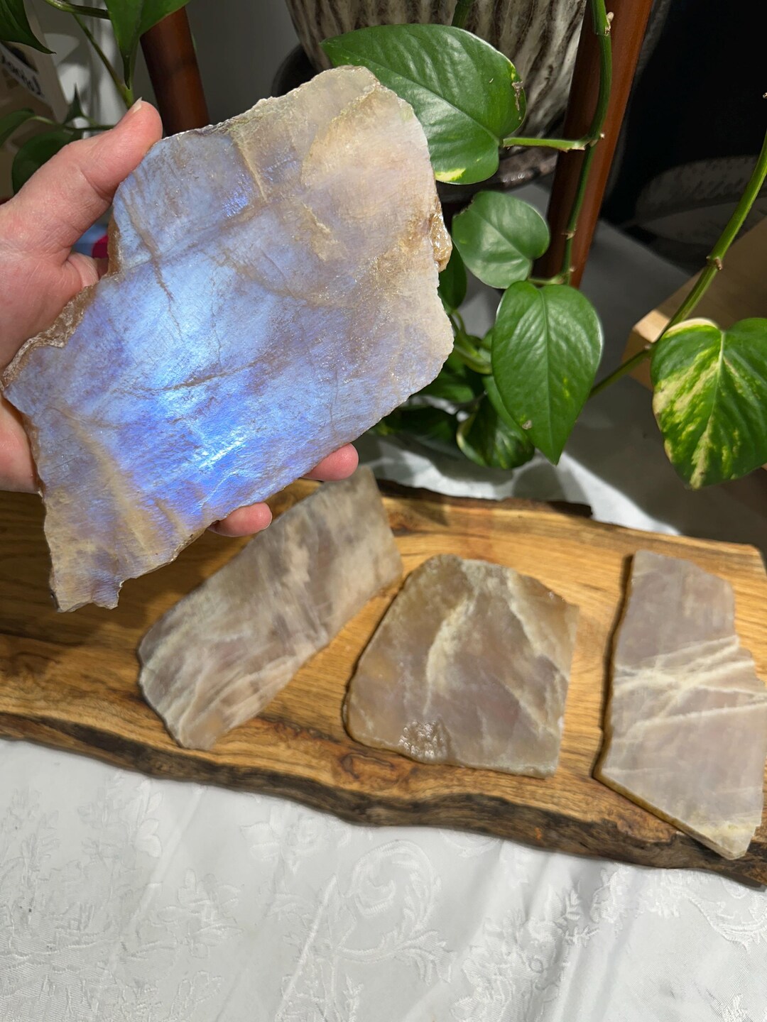 Super Flashy, Moonstone Slabs With Blue and Golden Adularescence ...