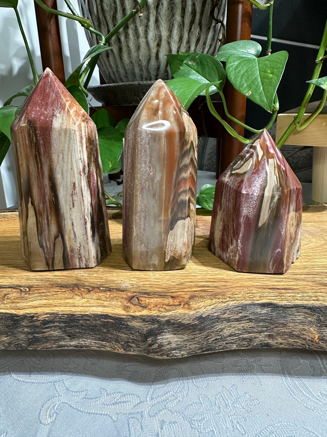 Gorgeous Colorful Petrified Wood Towers - Grounding - Transformation ...