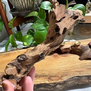 Beautiful Wood Multiple Sphere Stands Great Way to Display Your Medium ...